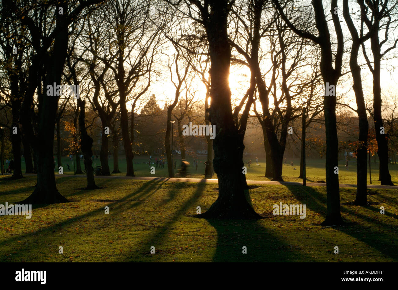 Meadows park edinburgh winter hi-res stock photography and images - Alamy