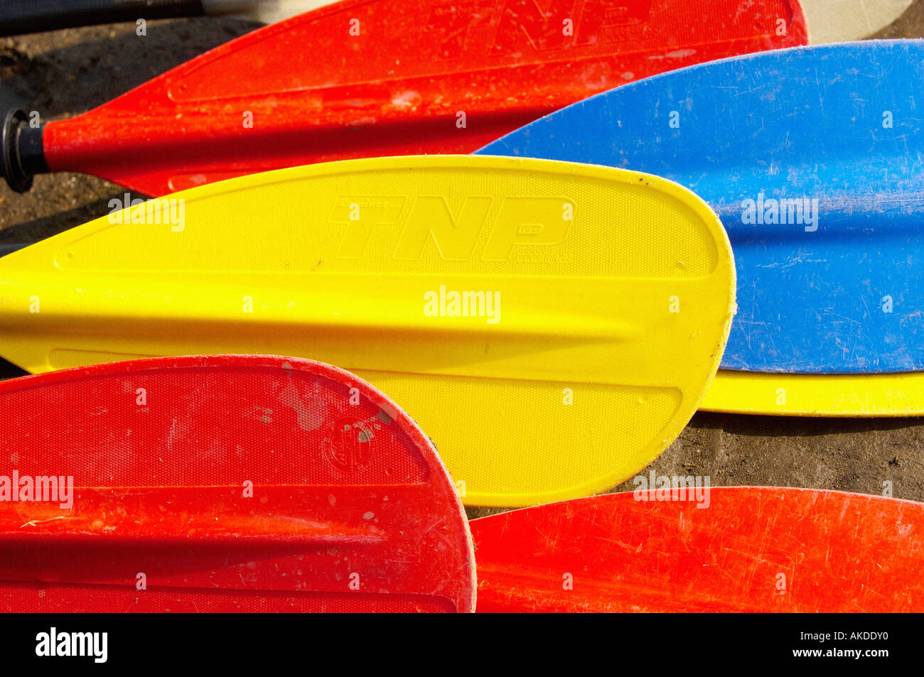 Colourful paddles and oars hi-res stock photography and images - Alamy