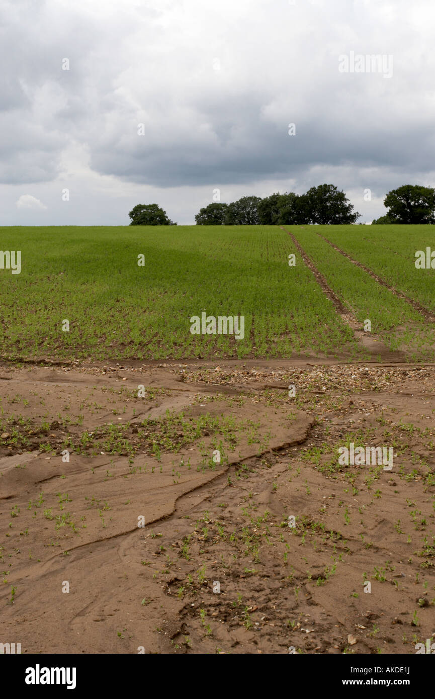 Erosion farming hi-res stock photography and images - Alamy