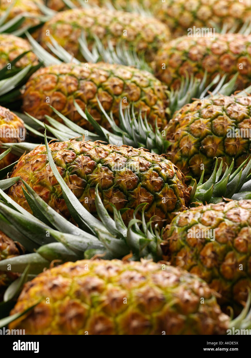 A sea of whole pineapples editorial food Stock Photo - Alamy