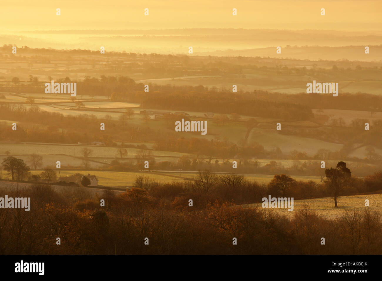A landscape view of early morning mist rising off the Somerset Levels ...