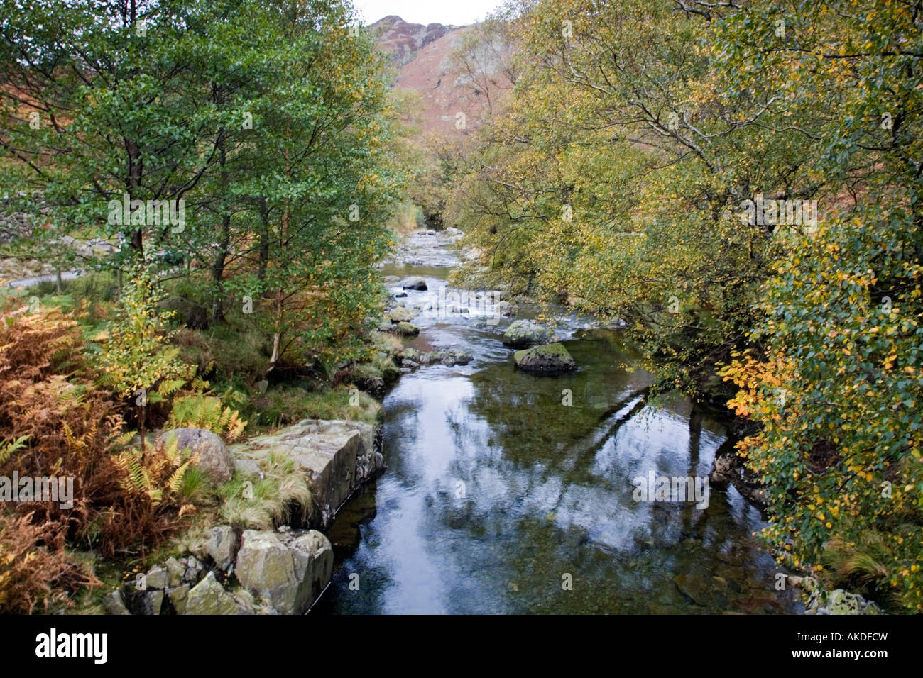 Colourful Tree Lined Blue Waters of Langstrath Beck in Autumn National ...