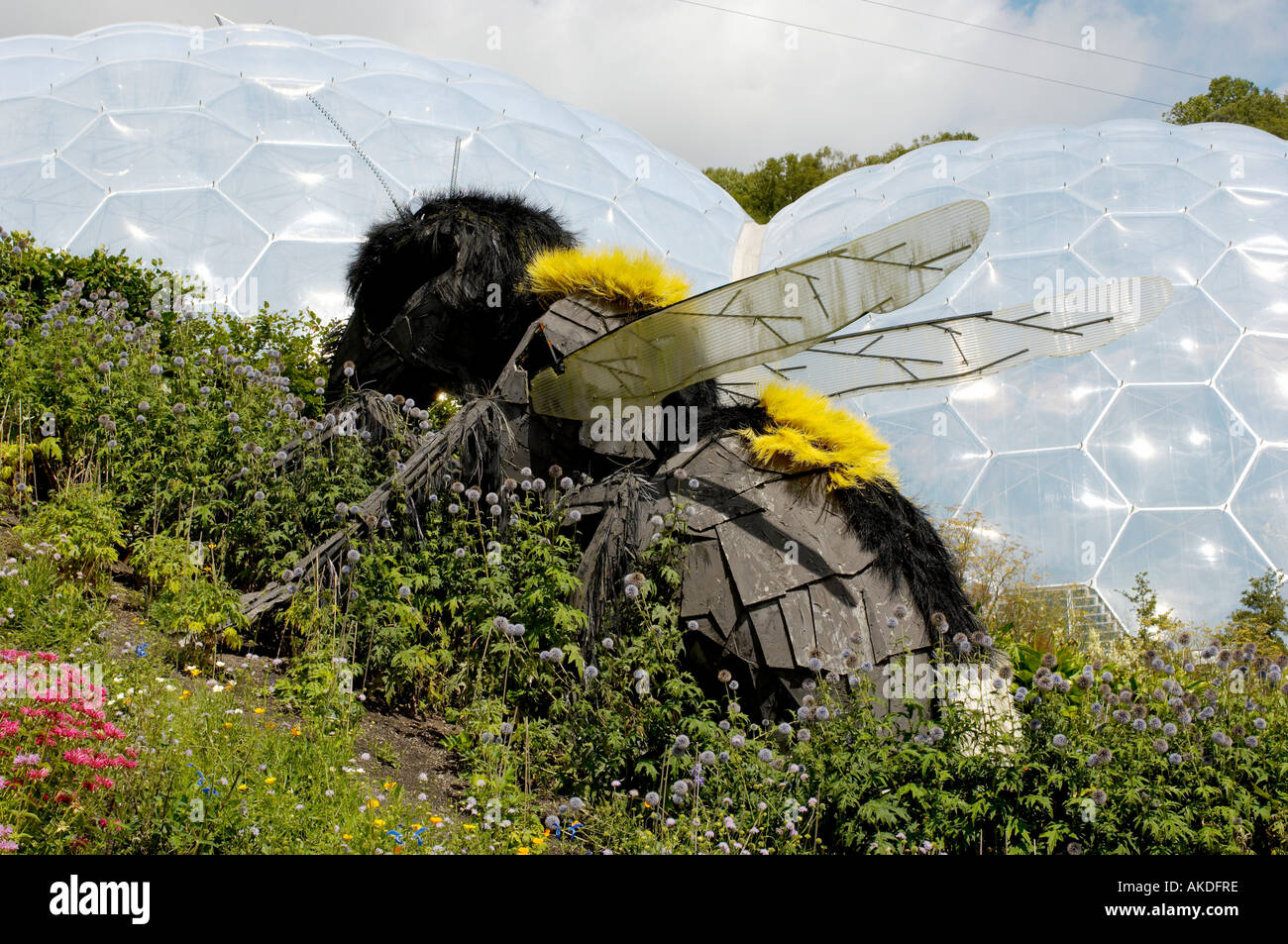 Giant bee sculpture eden project hi-res stock photography and images ...