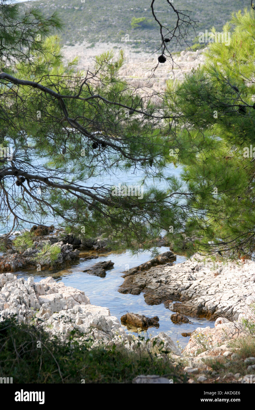 Mlini beach, pakleni hi-res stock photography and images - Alamy