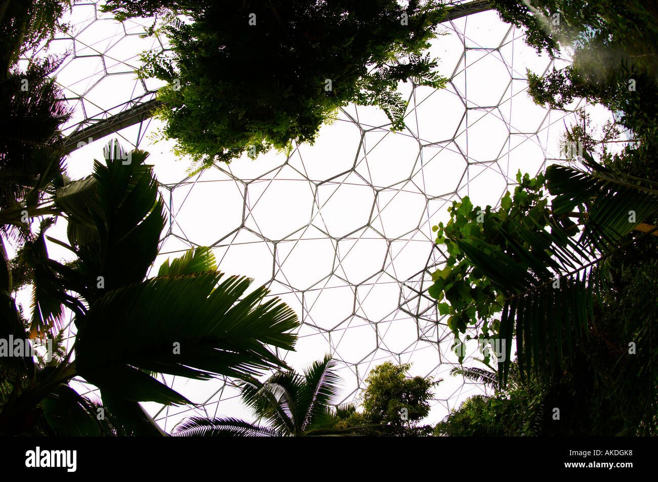 Eden project biome silhouette hi-res stock photography and images - Alamy