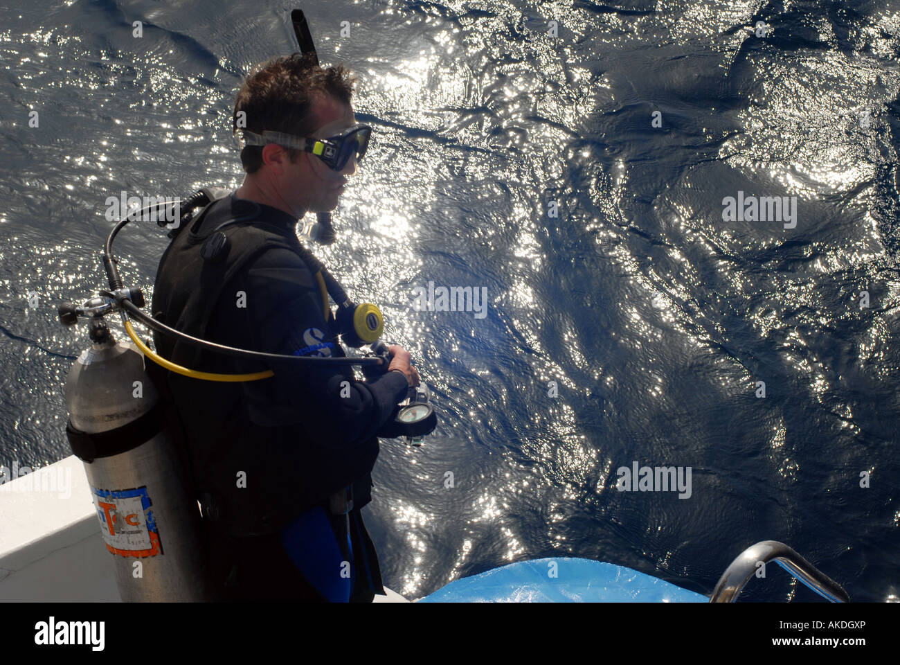 a man preparing to scuba dive Stock Photo - Alamy