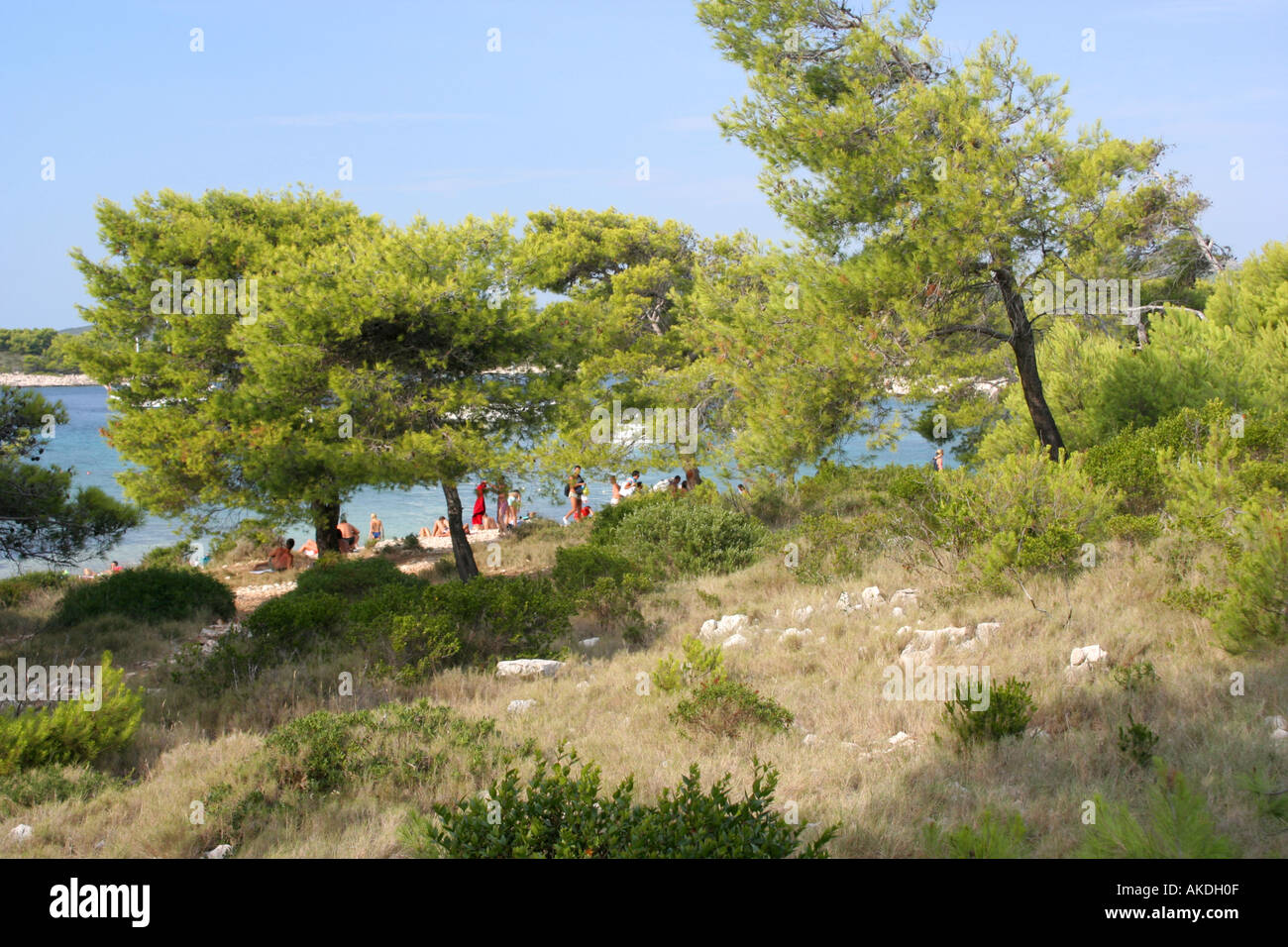 Mlini beach on Pakleni Islands Stock Photo - Alamy