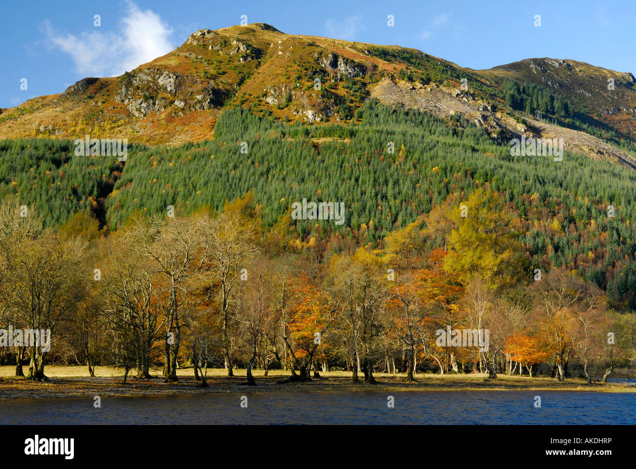 Scottish autumn trees hi-res stock photography and images - Alamy