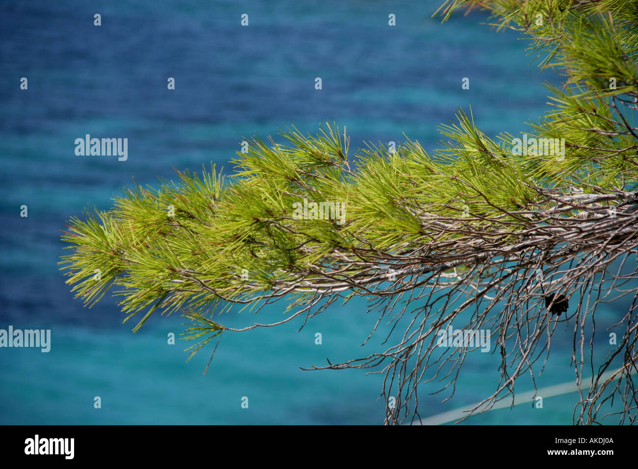 A spectacular sapphire bay near camping site in Jagodna village on Hvar ...