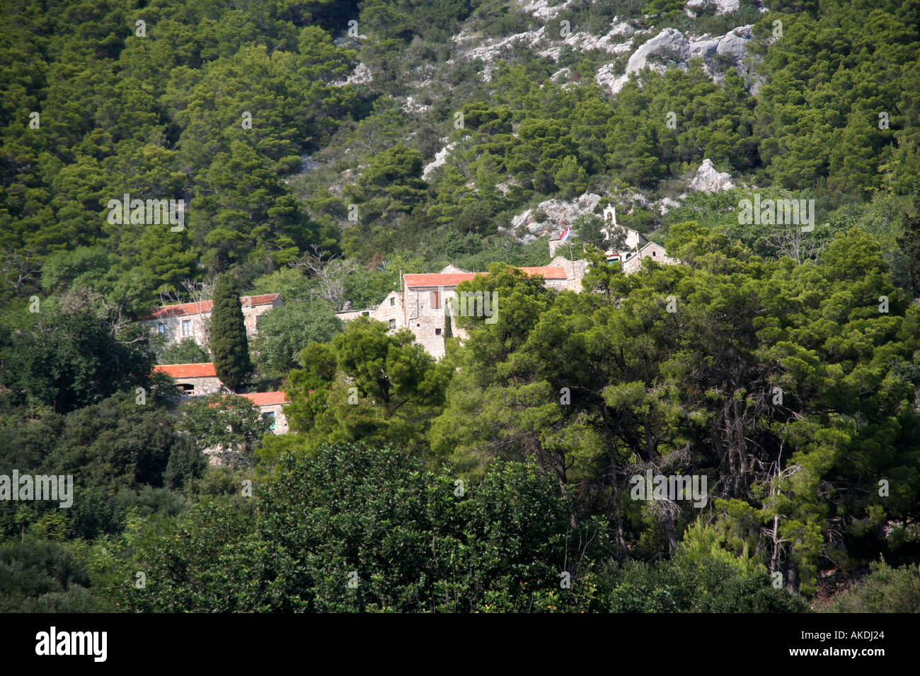 Jagodna village hidden among trees Hvar Island Croatia Stock Photo - Alamy