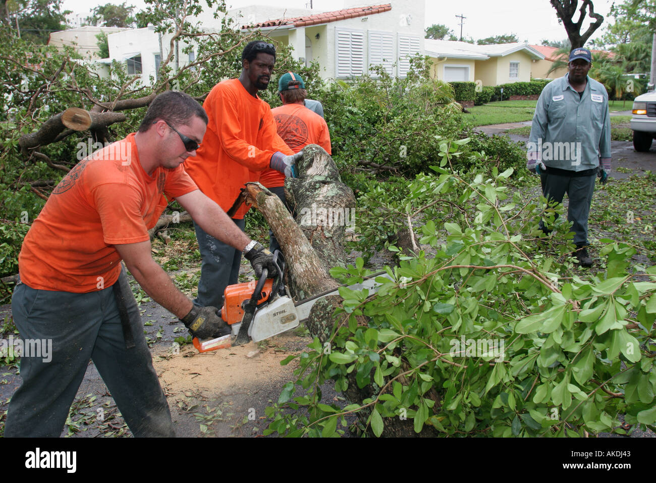 Miami Florida,Coral Gables,weather,Hurricane Katrina damage,city worker ...