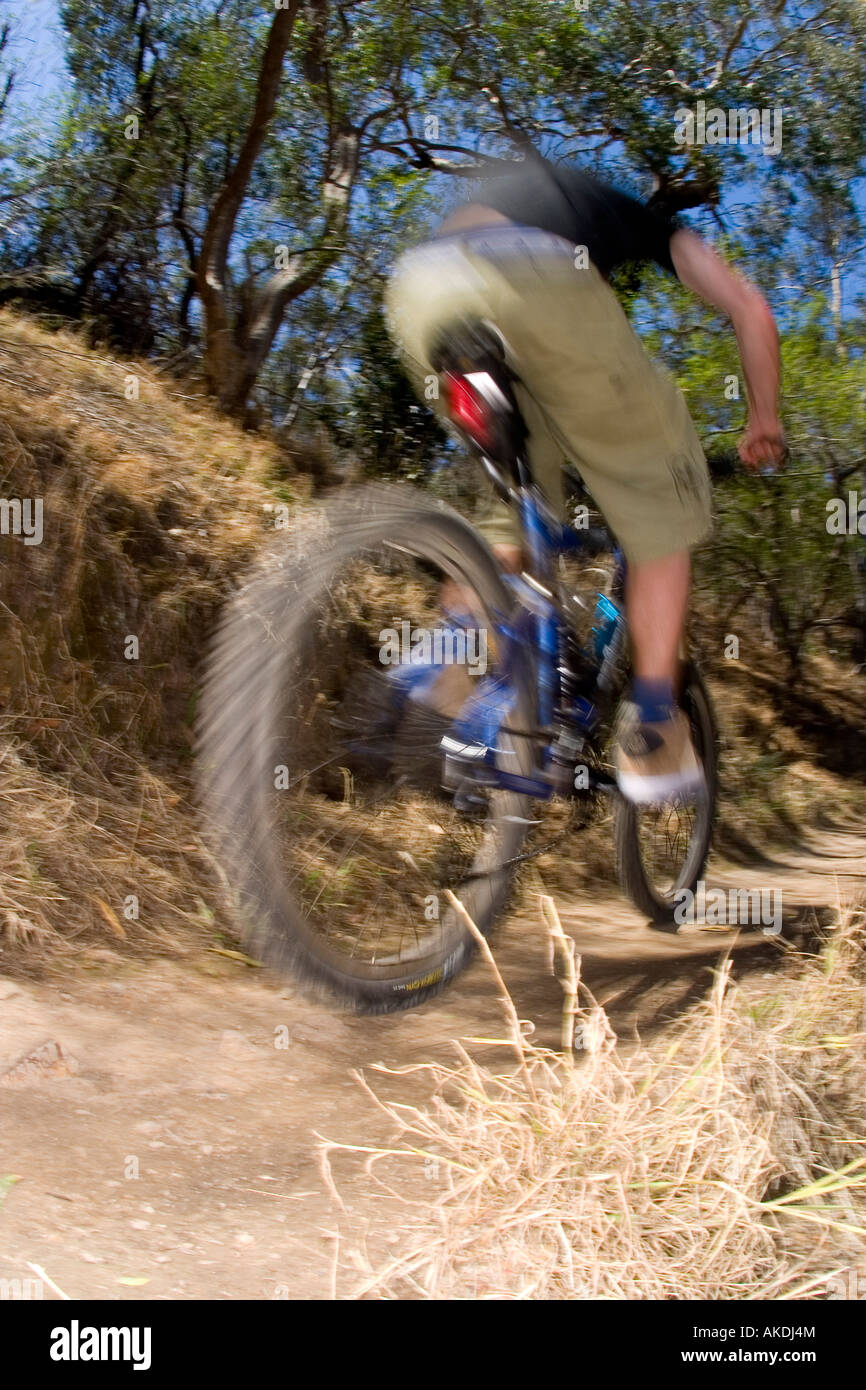 Riding a mountain bike through the bush fast Stock Photo - Alamy