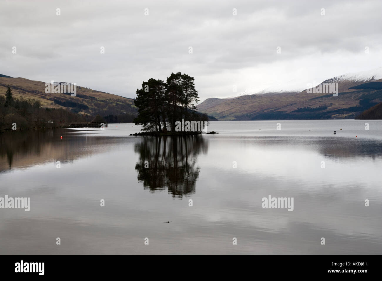 Scottish loch with single tree in the centre with calm waters room for ...