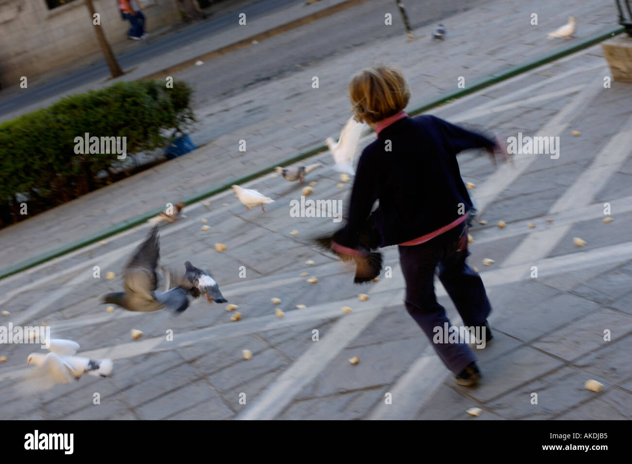 Child Running After Birds High Resolution Stock Photography and Images ...
