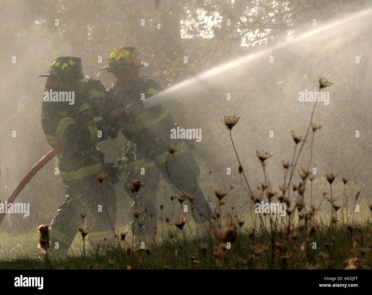 Firefighters spraying water onto hi-res stock photography and images ...