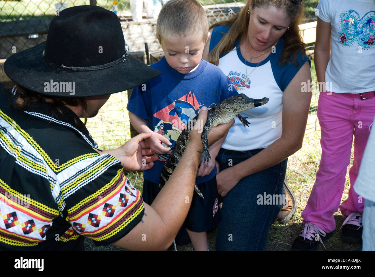 Alligator show hi-res stock photography and images - Alamy
