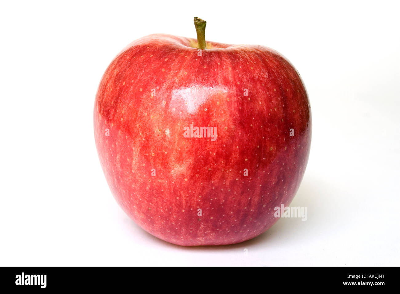 A stock photograph of an apple looking fresh, ripe and healthy Stock ...