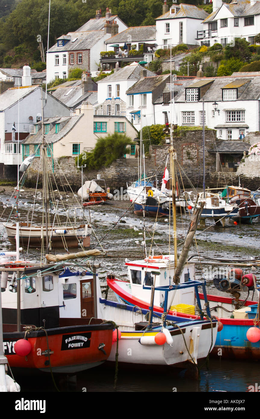 Whitewashed houses overlooking Polperro Harbour at low tide exposing ...