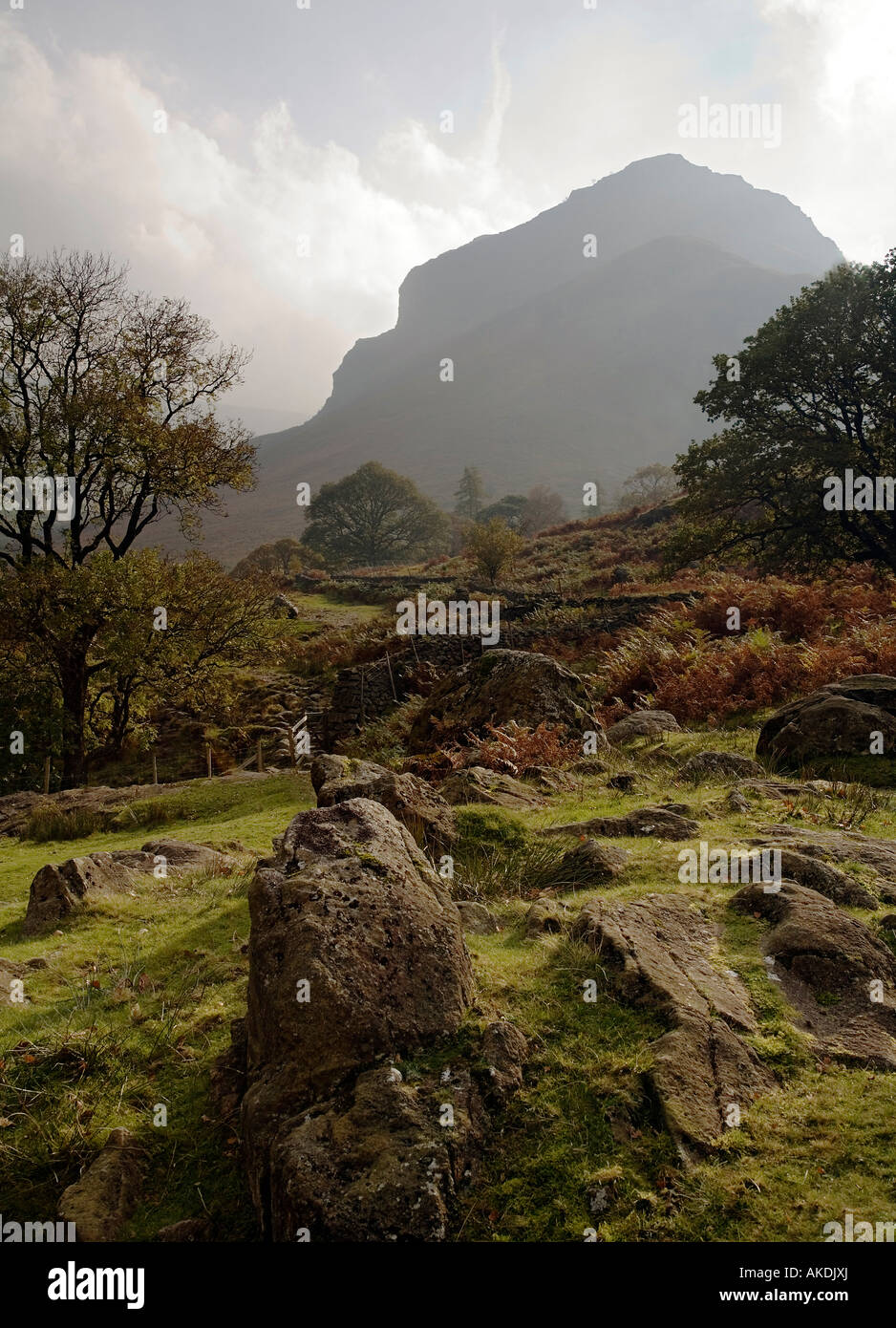 Landscape in Autumn Stonethwaite Valley Beck in the Lake District ...