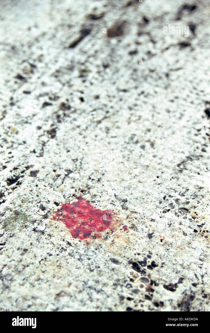 Blood stain on road hi-res stock photography and images - Alamy