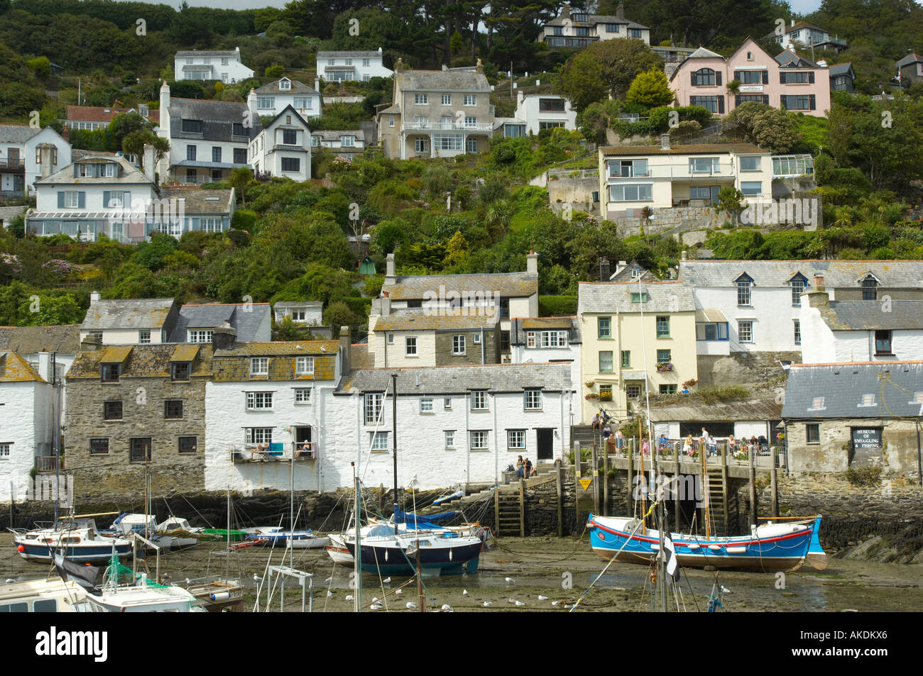 Whitewashed houses overlooking Polperro Harbour at low tide, leaving ...