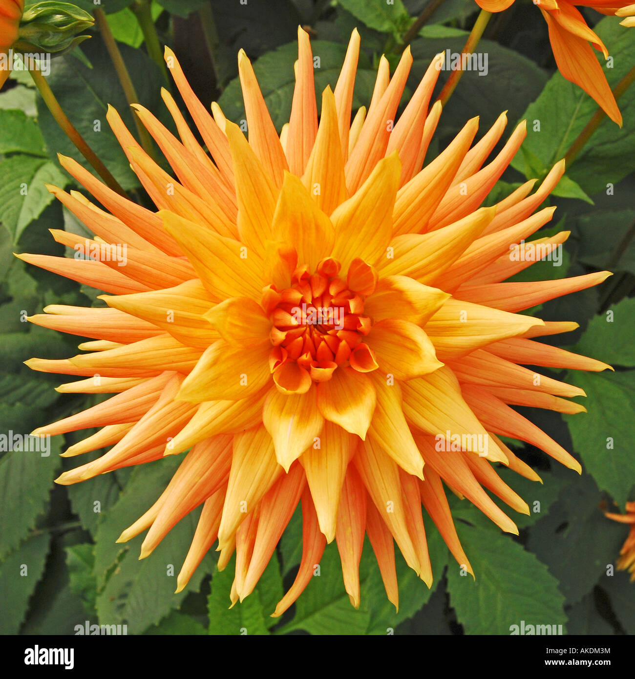 Carstone hi-res stock photography and images - Alamy