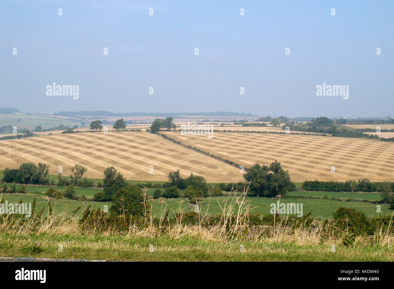 Cotswolds patterned field hi-res stock photography and images - Alamy