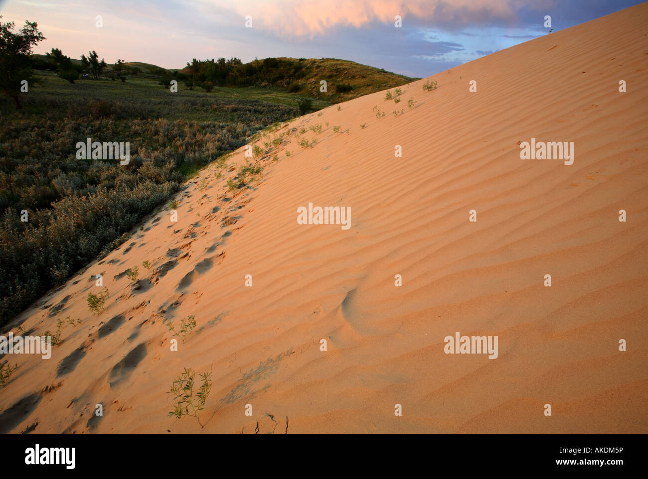 Large sand dune in Great Sand Hills Stock Photo - Alamy