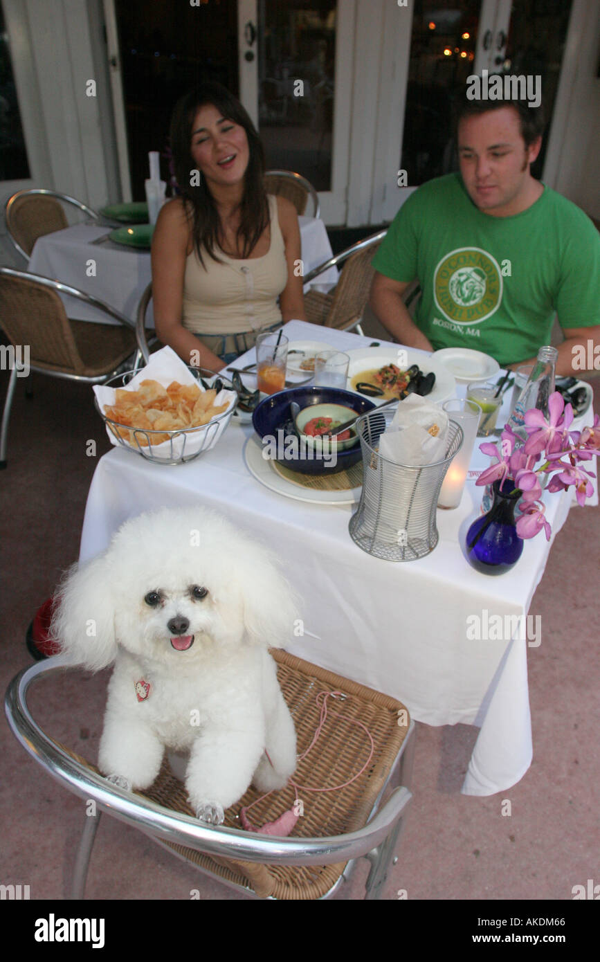 Dog eating poo hi-res stock photography and images - Alamy