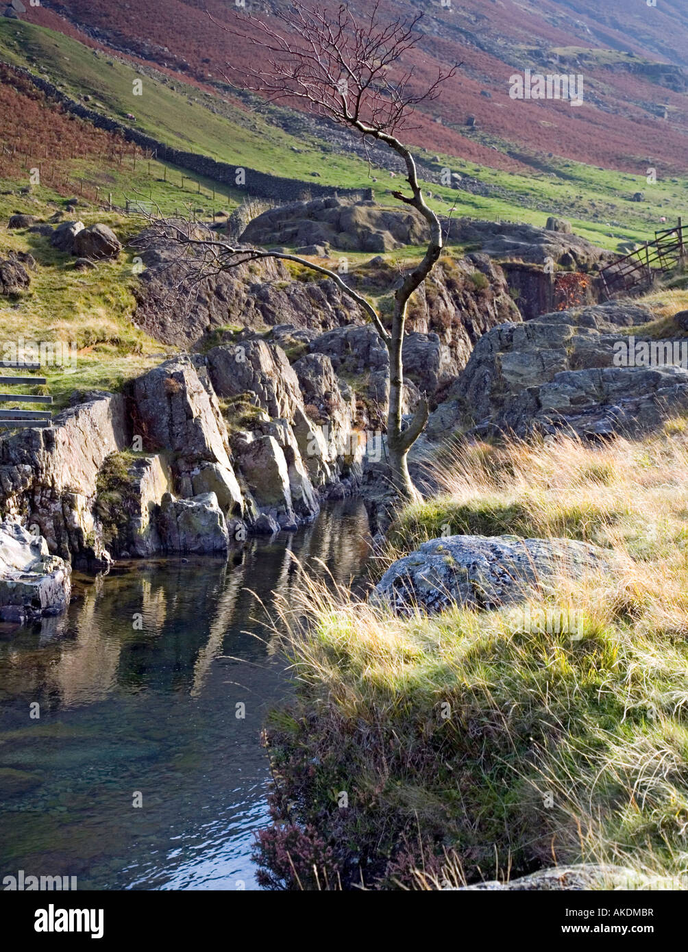 Landscape in Autumn Langstrath Valley Beck in the Lake District ...