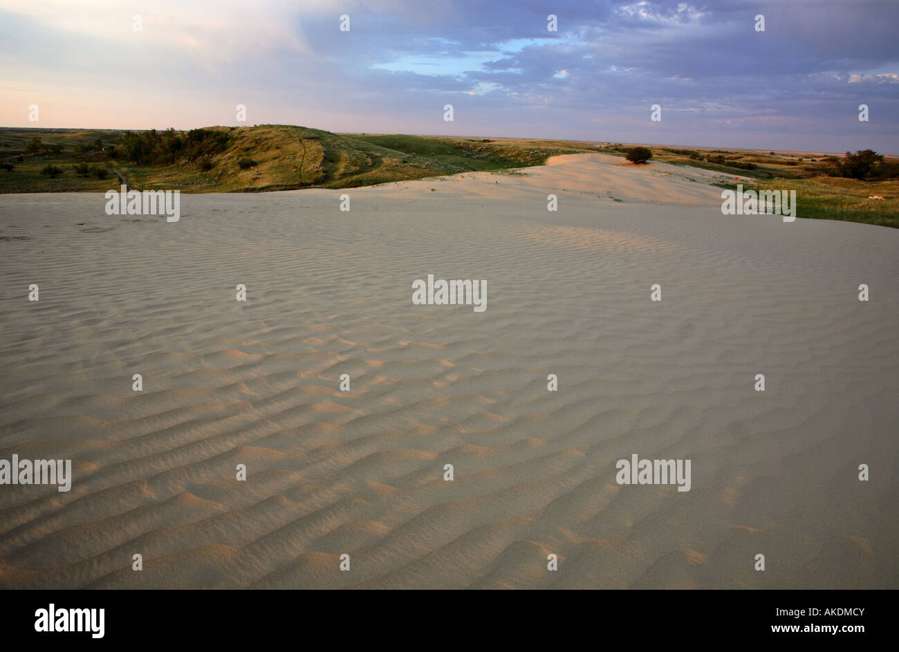 Large sand dune in Great Sand Hills Stock Photo - Alamy