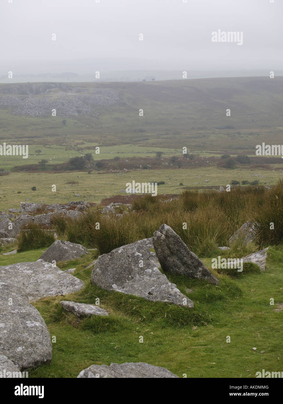 Rocks, barren landscape, Craddock Moor Stock Photo - Alamy