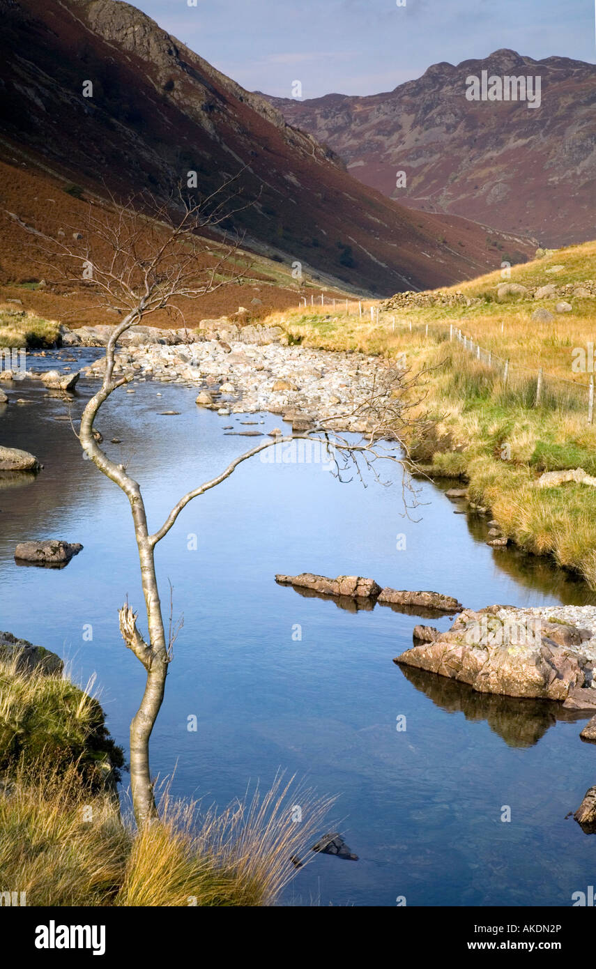 Landscape in Autumn Langstrath Valley Beck in the Lake District ...