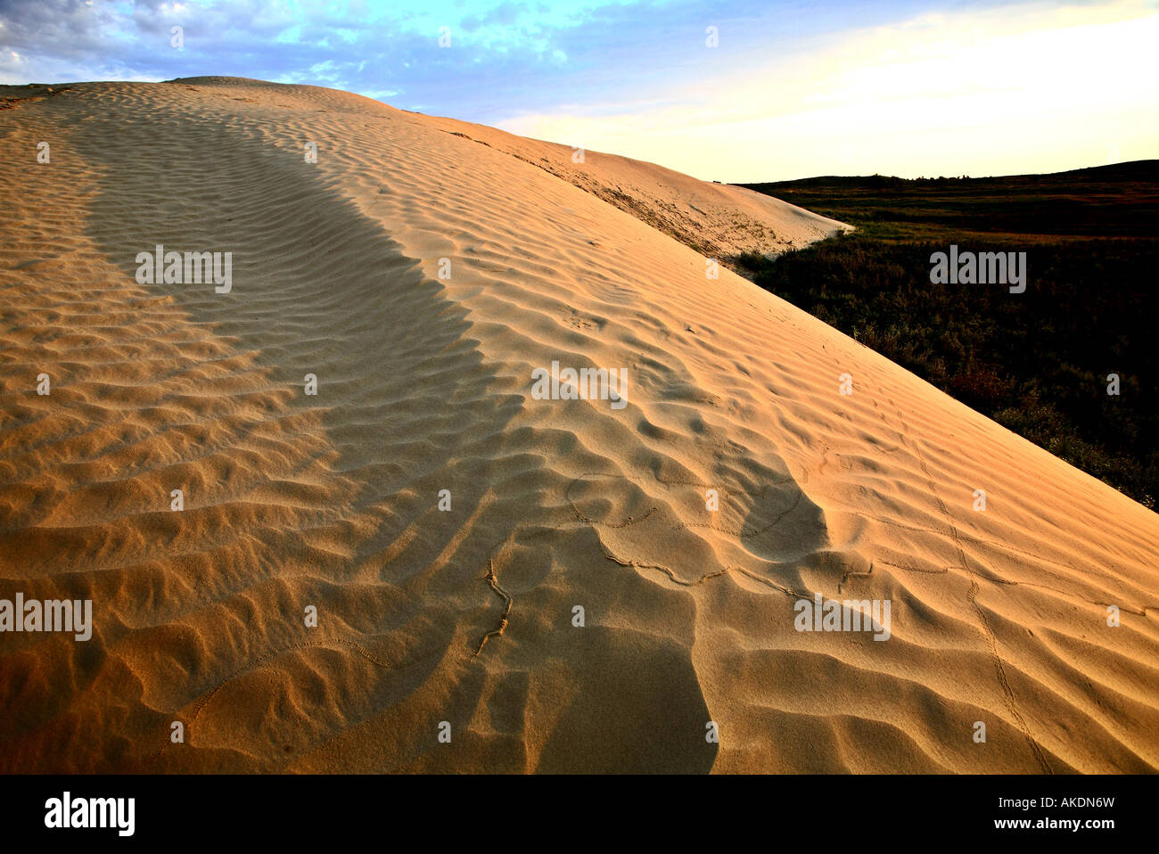 Large sand dune in Great Sand Hills Stock Photo - Alamy