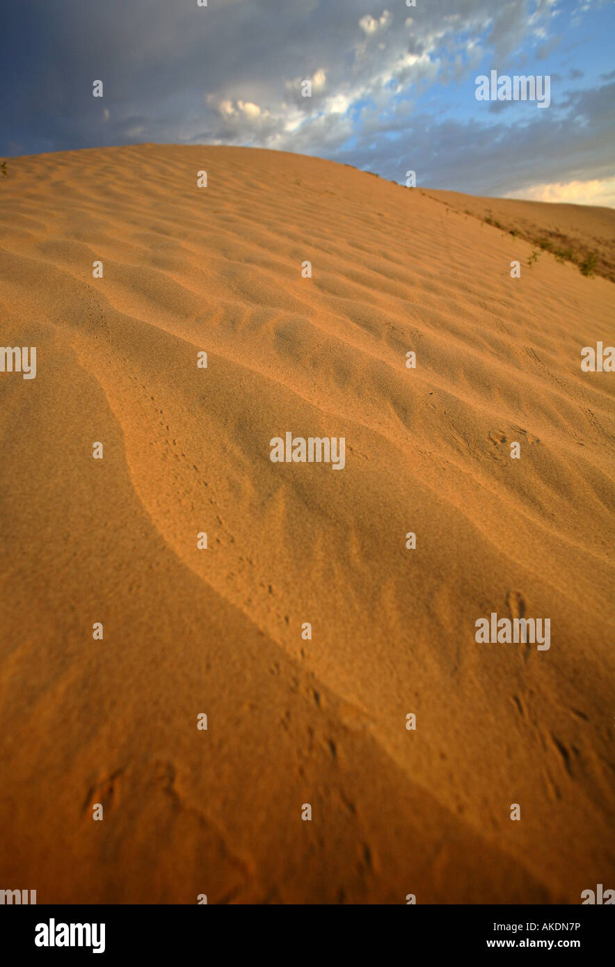 Large sand dune in Great Sand Hills Stock Photo - Alamy