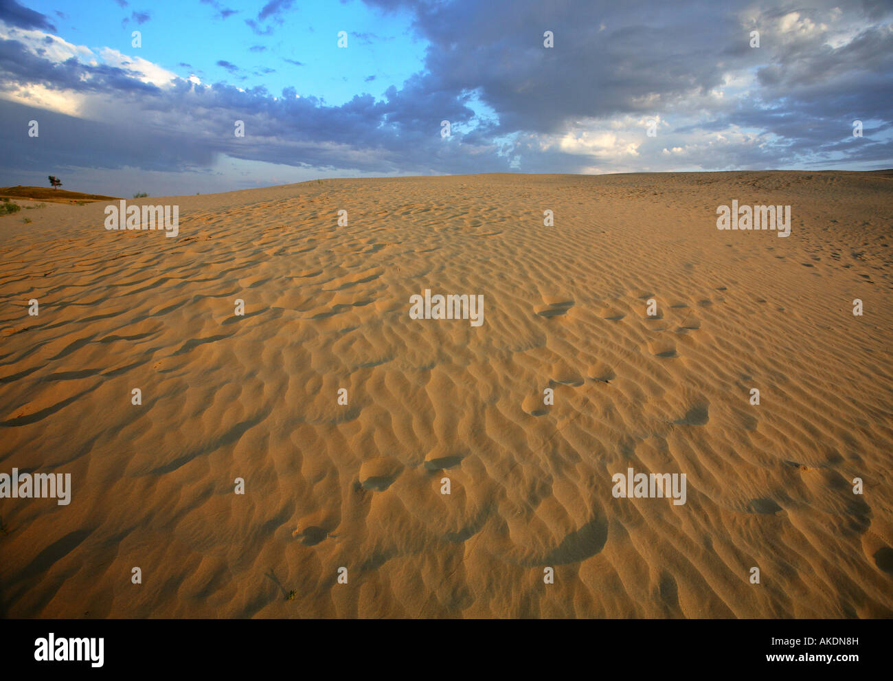 Large sand dune in Great Sand Hills Stock Photo - Alamy