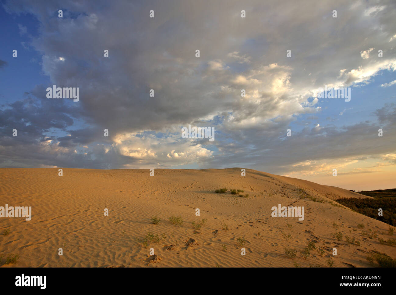 Large sand dune in Great Sand Hills Stock Photo - Alamy