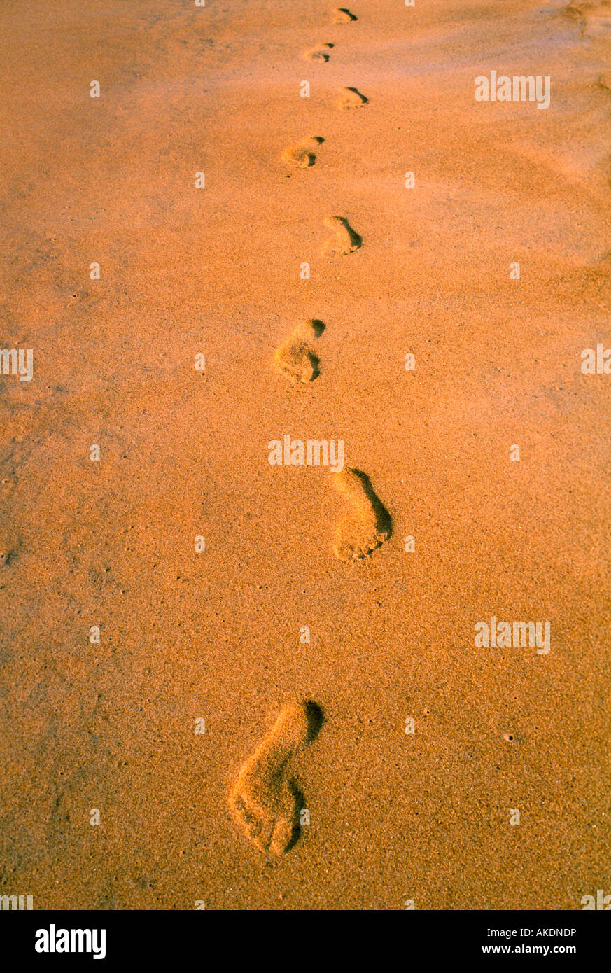 Footprints on a red sand beach Stock Photo - Alamy