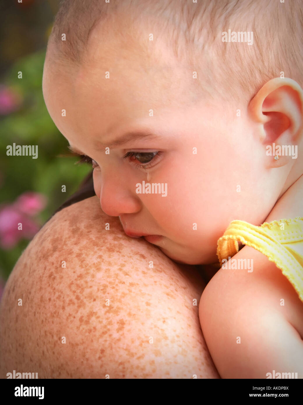 Baby on shoulder of parent Stock Photo - Alamy