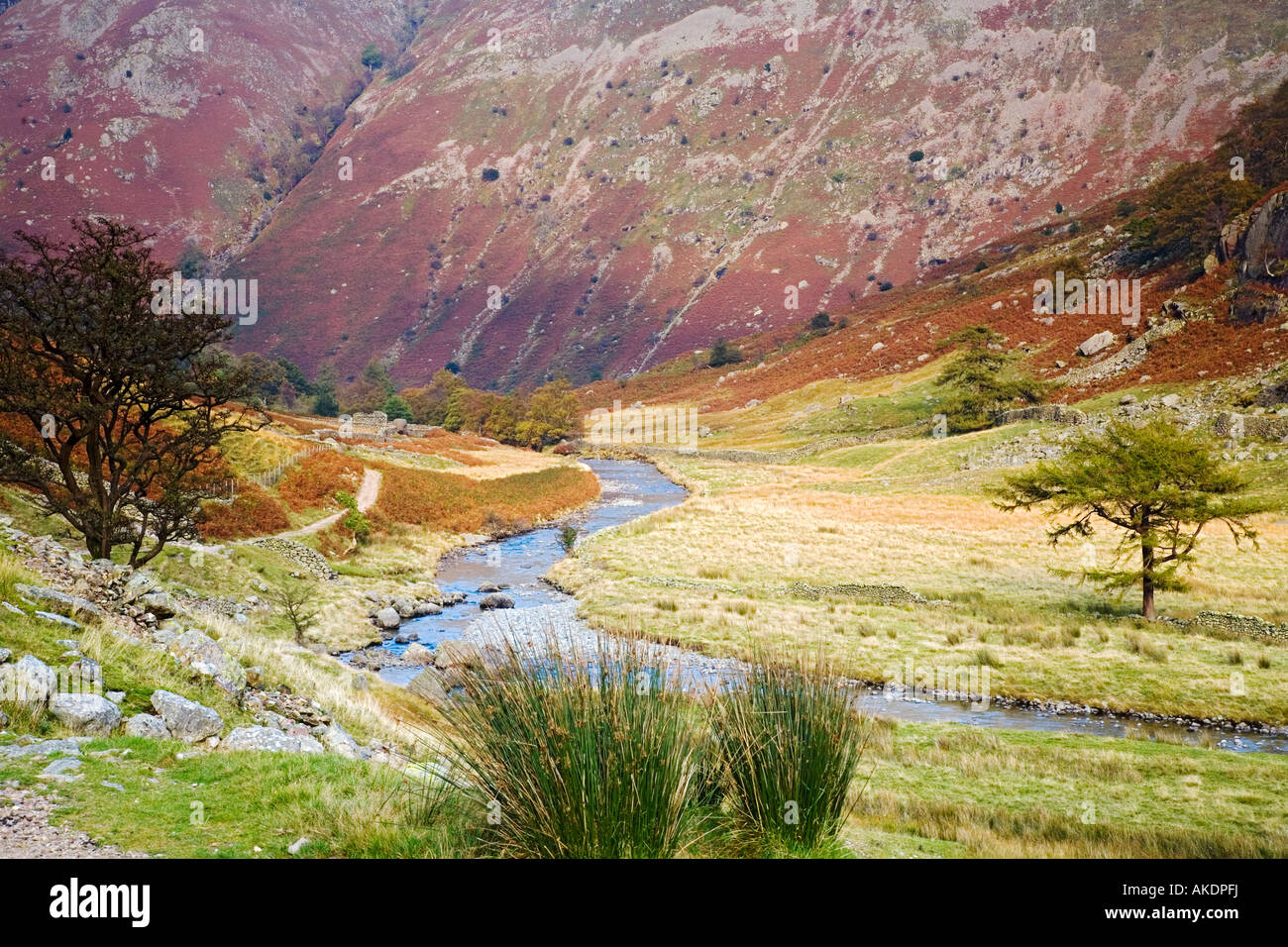 Landscape Autumn Colour Langstrath Valley Beck Stream Lake District ...