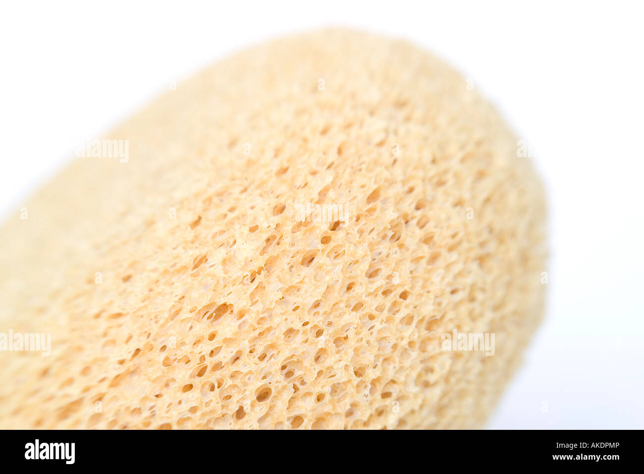 A stock photograph of a detailed close up of a sponge Stock Photo - Alamy