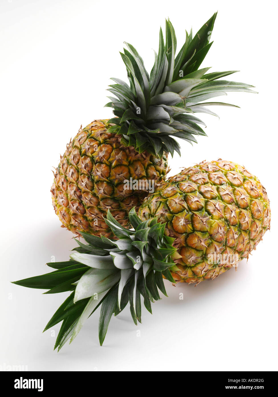 Two whole pineapples on a white background Stock Photo - Alamy
