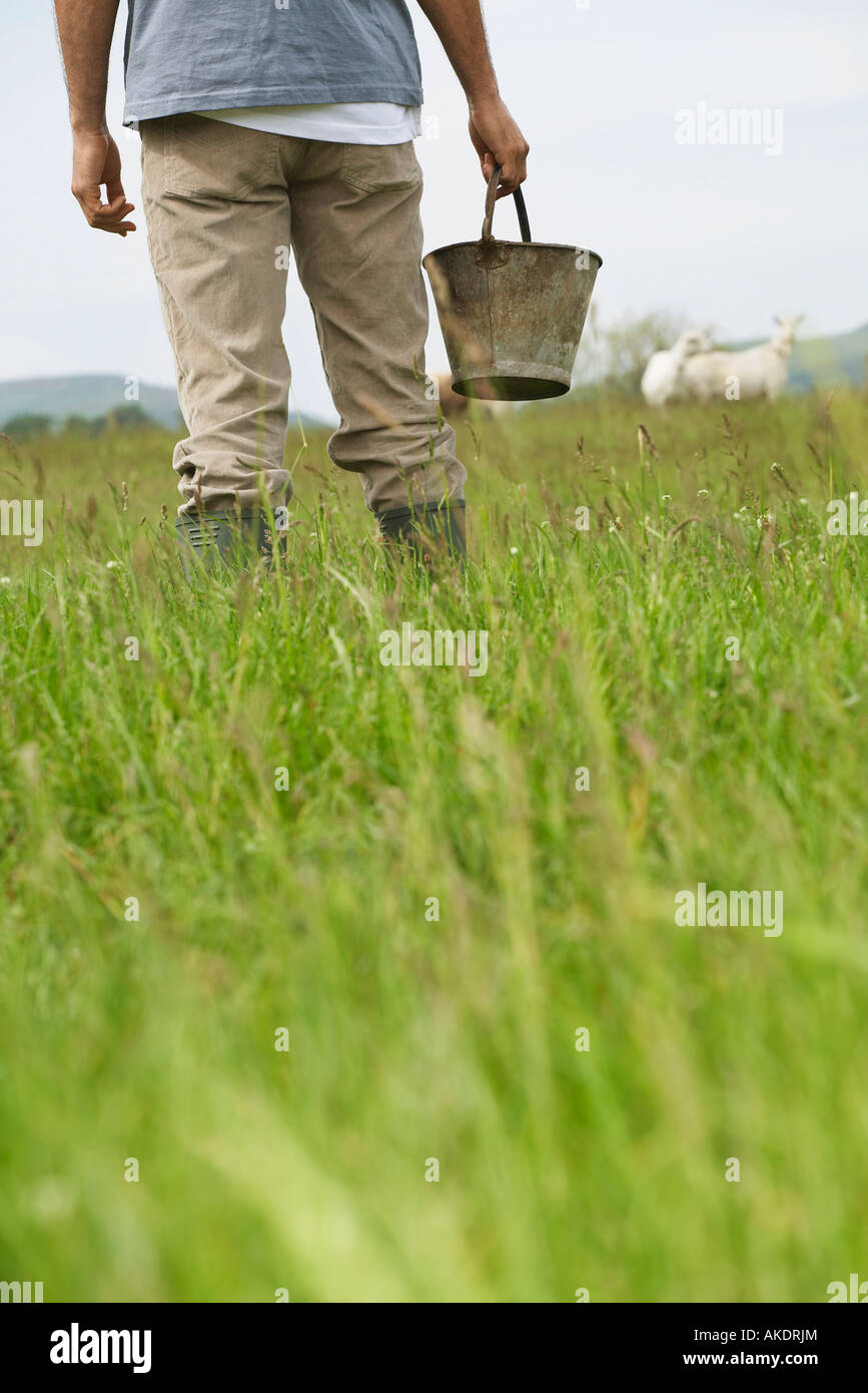 Man holding bucket in field, mid section, rear view Stock Photo - Alamy