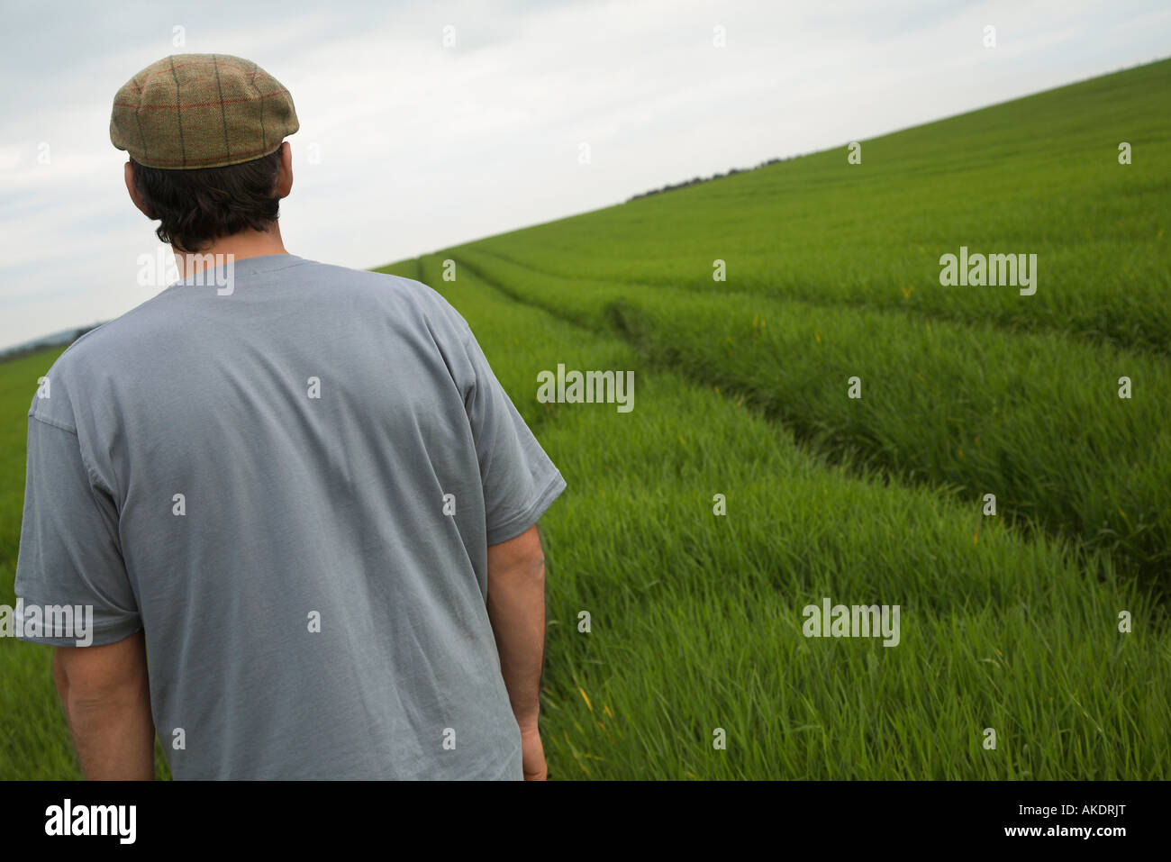 Man standing in field, back view Stock Photo - Alamy