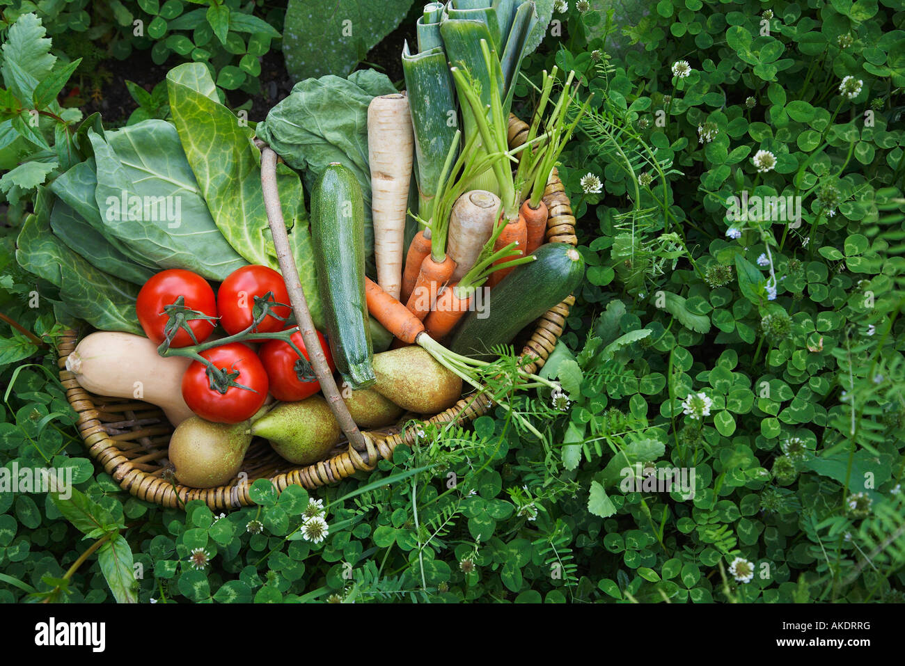 Fruit and vegetable basket surrounded by clover Stock Photo - Alamy