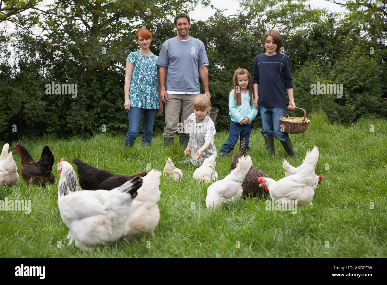 Parents with three children (5-9) feeding hens in garden Stock Photo ...