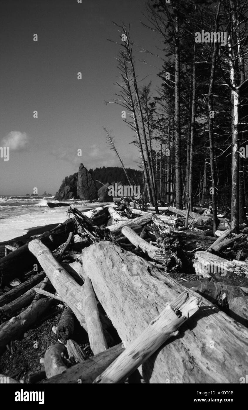 Beach washington Black and White Stock Photos & Images - Alamy