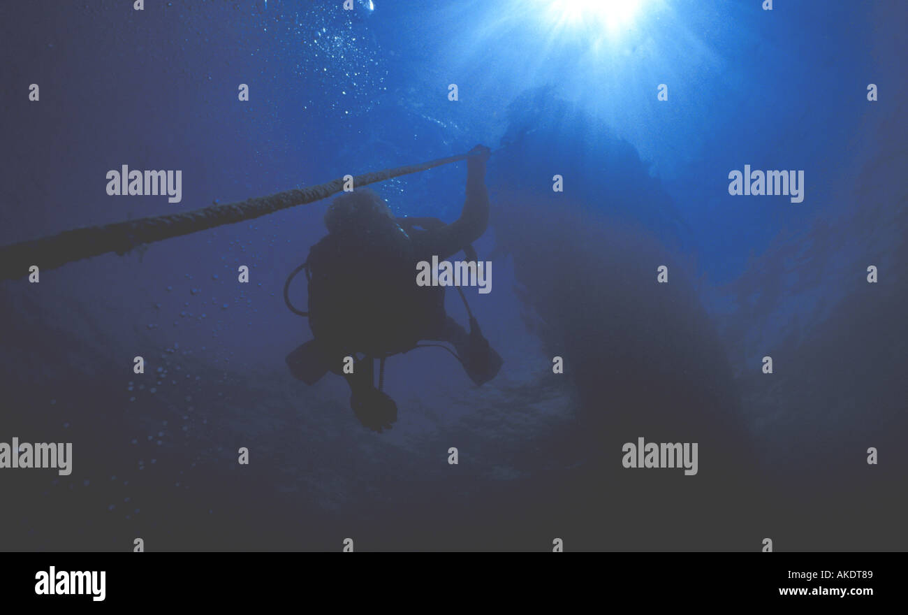 Underwater recreation scuba diver descending line Stock Photo - Alamy