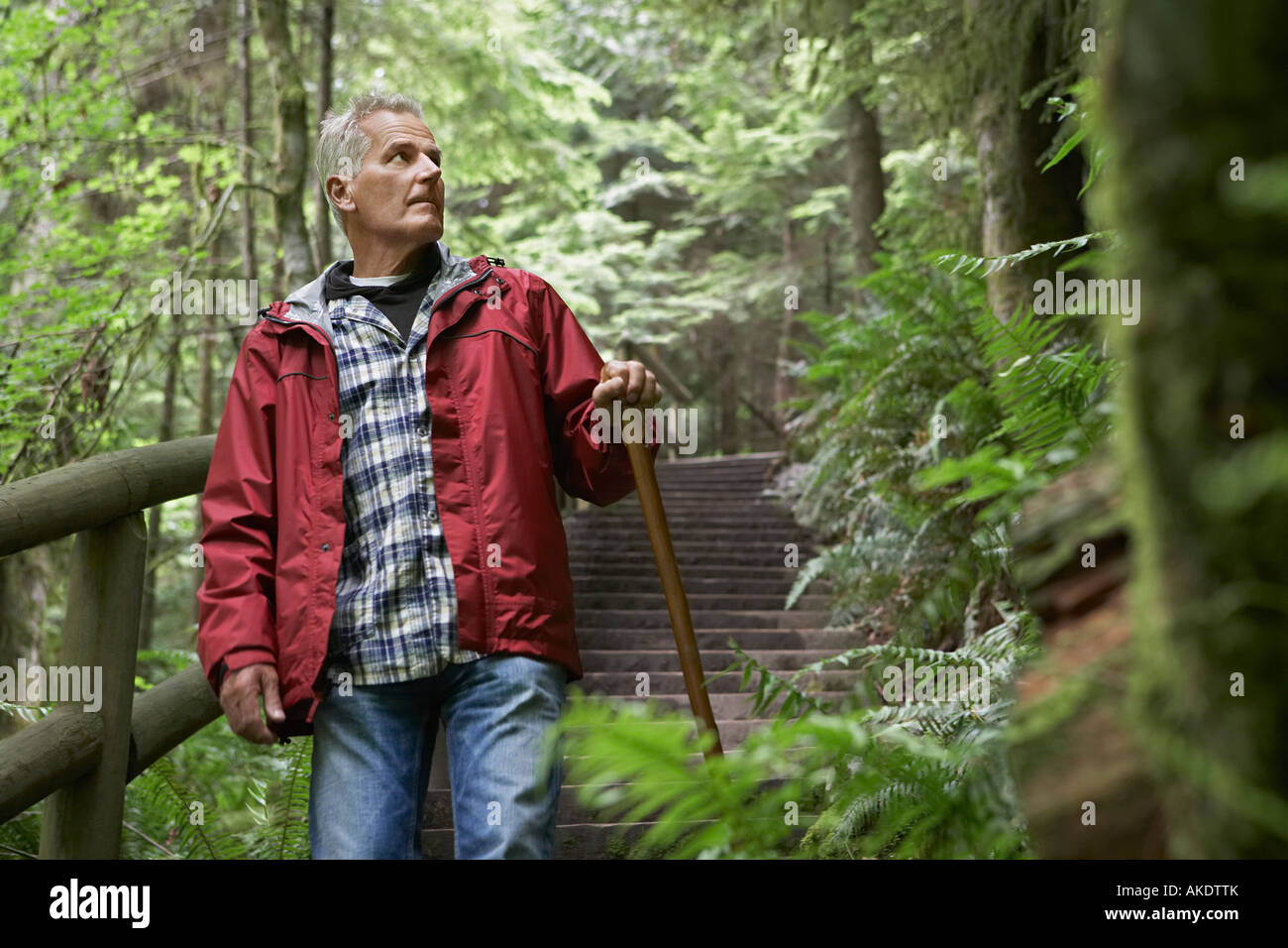 Senior man on trail in forest, looking away Stock Photo - Alamy