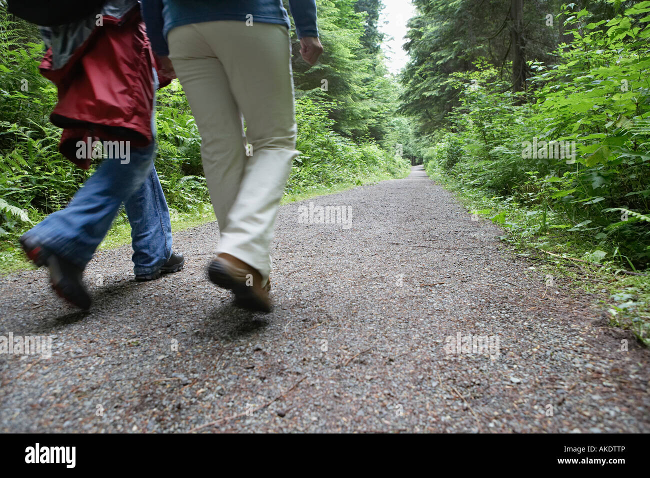 Two people walking on forest trail, back view, low section Stock Photo ...